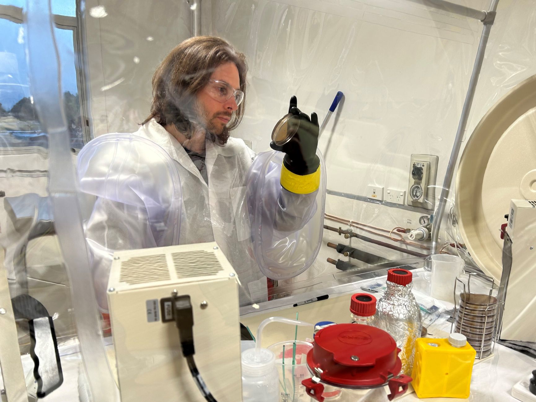 Search Results » Science New Zealand